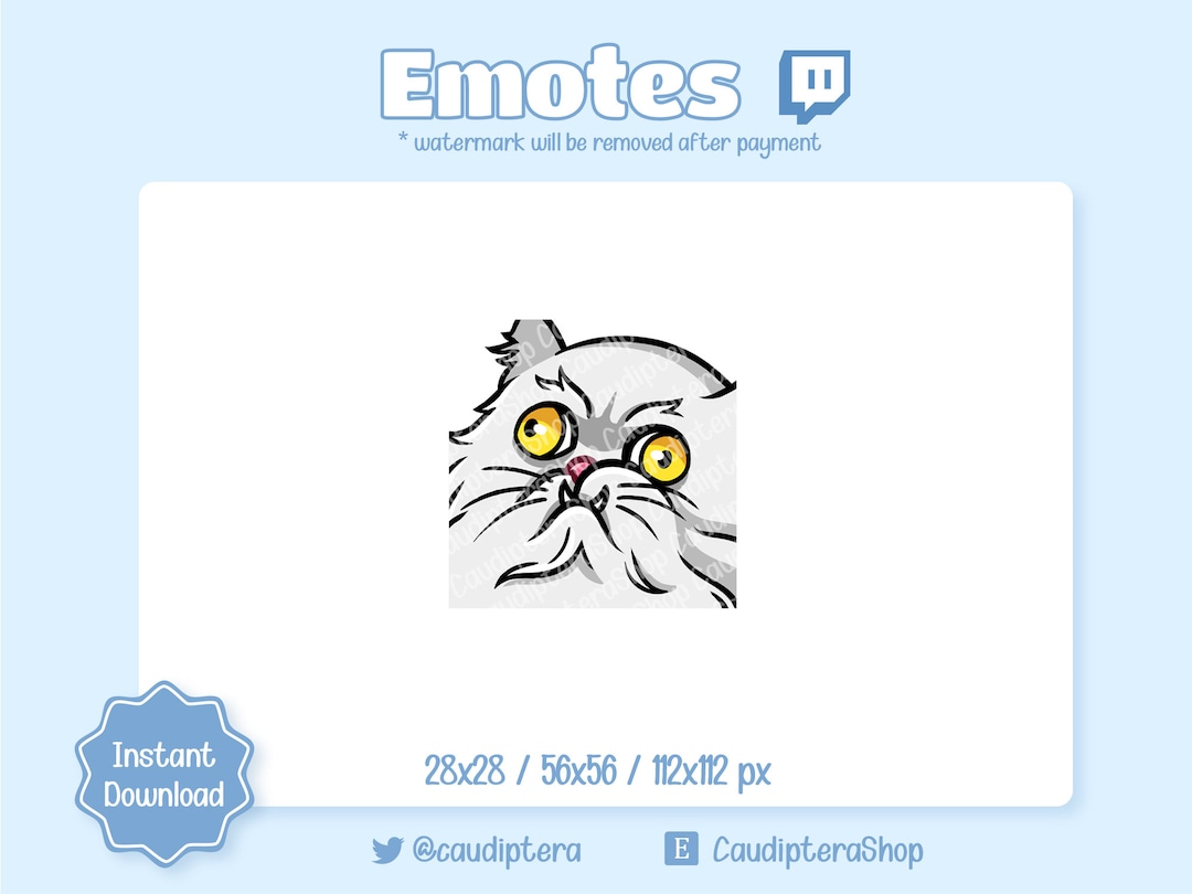 Emote Twitch Cat Meme 6 Wilfred Cat Chat White WTF - Etsy