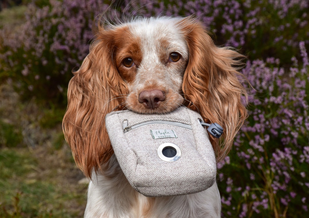 Treats and Poop Bag 2-in-1 Pet Pouch Fawn Herringbone - Etsy