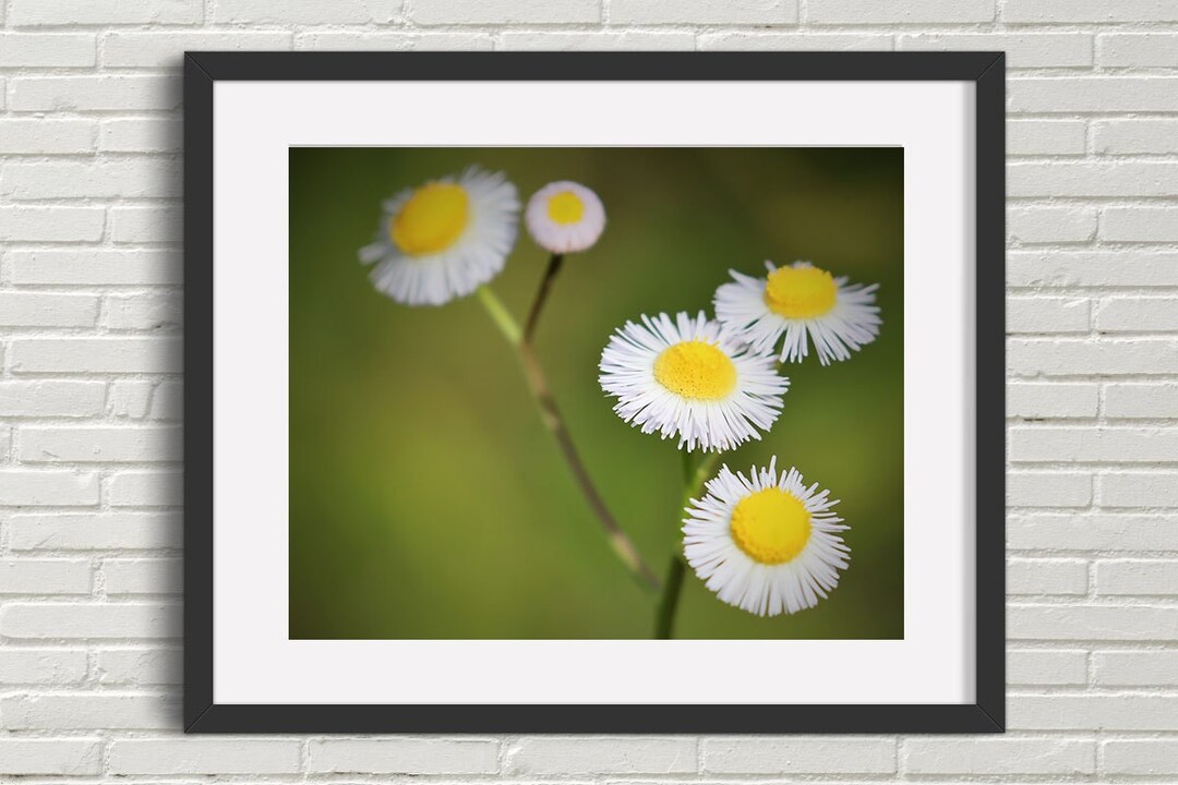 Florida Daisy Print: Yellow Flowers, Greenery Wall Art (digital ...