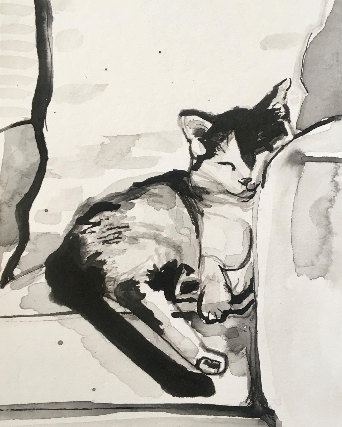 Napping Cat Art Print - Etsy