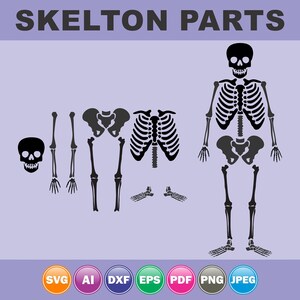 Art & Collectibles Clip Art Skeleton SVG Spooky Bones jpg png dxf eps ...