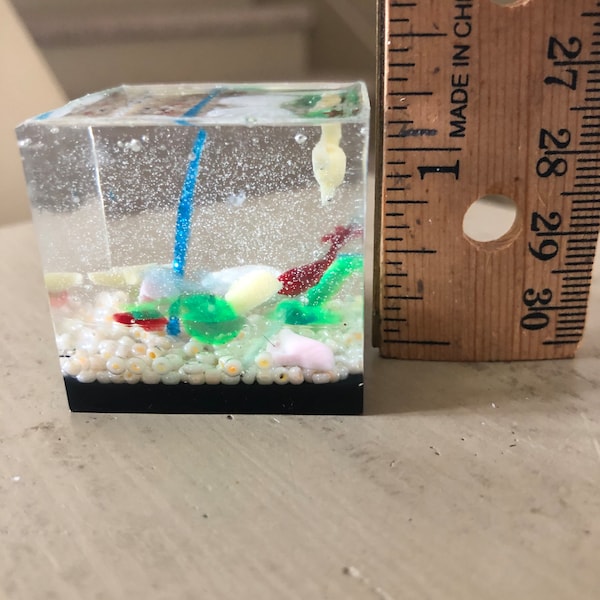 Dollhouse Aquarium - Etsy