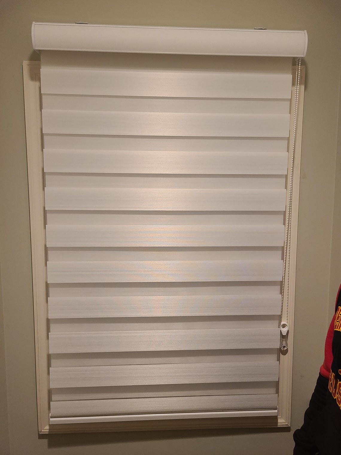 Zebra Blind Curtain Shade Combi Blind Customized Production Luxury ...