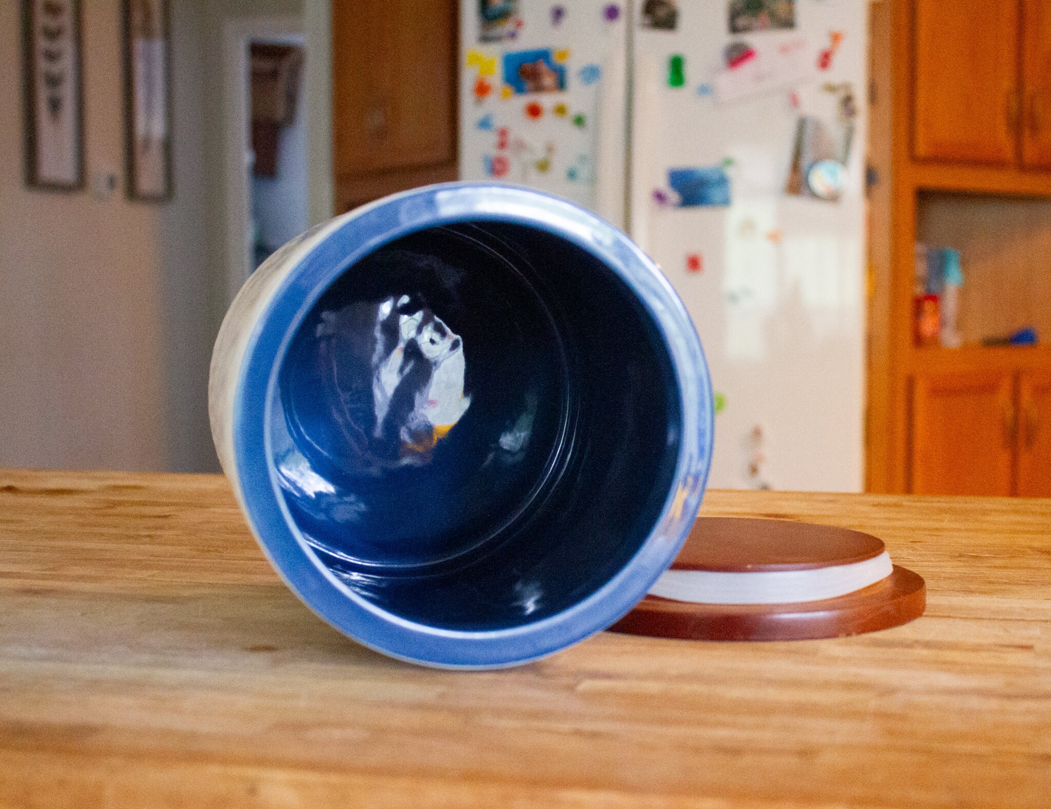 Threshold Ceramic Canister White Storage Container Embossed Leaf ...