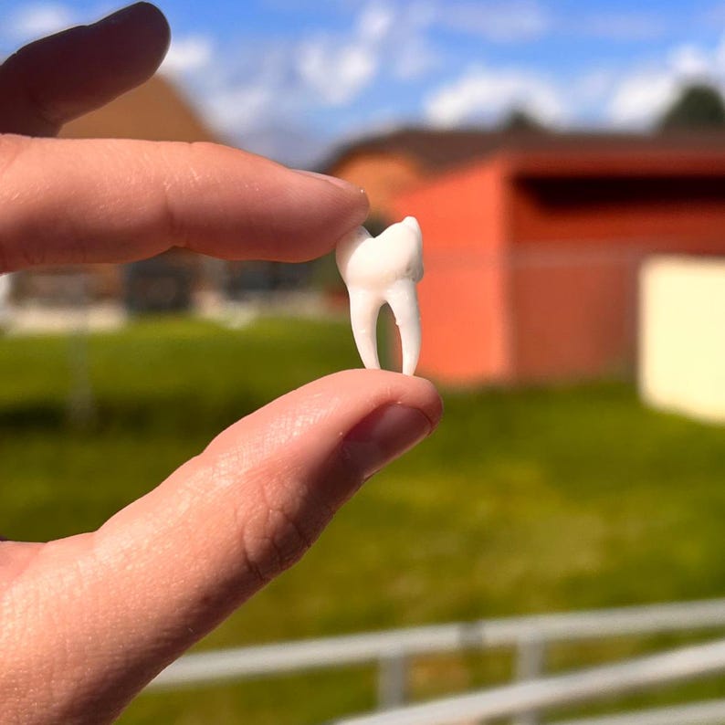 Resin Molars/teeth-3d Printed - Etsy