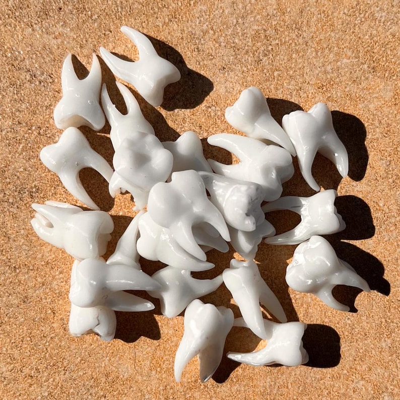 Resin Molars/teeth-3d Printed - Etsy