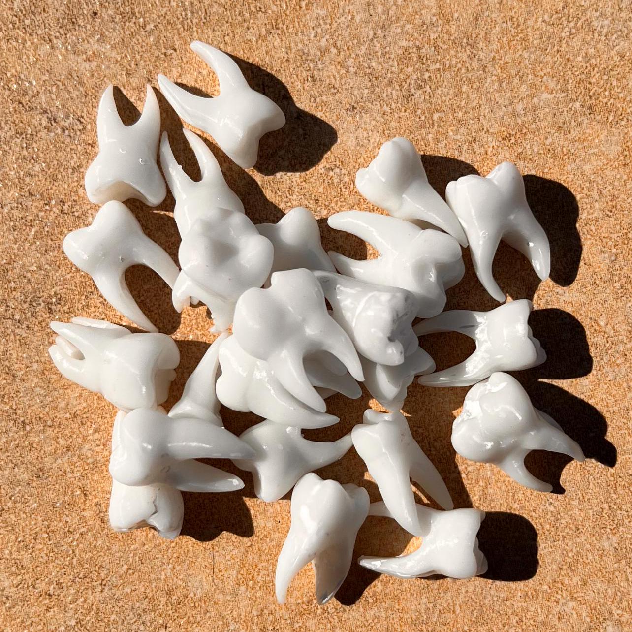 Resin Molars/teeth-3d Printed - Etsy