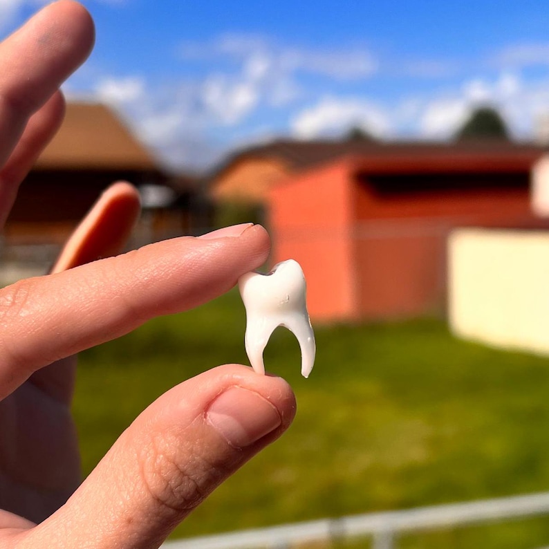 Resin Molars/teeth-3d Printed - Etsy