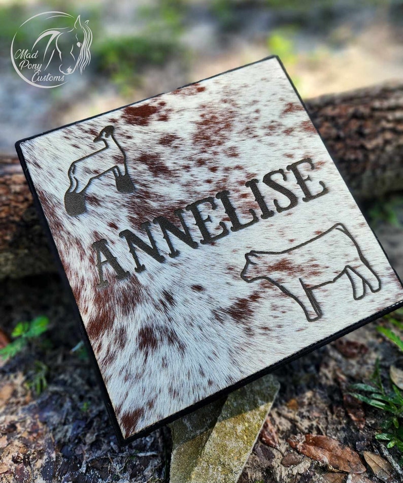Large Cowhide Branded Jewelry Box - Etsy