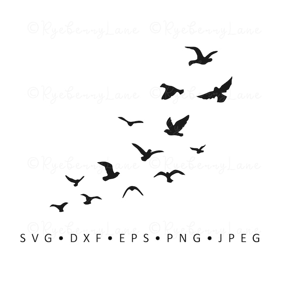 Birds Vector Png