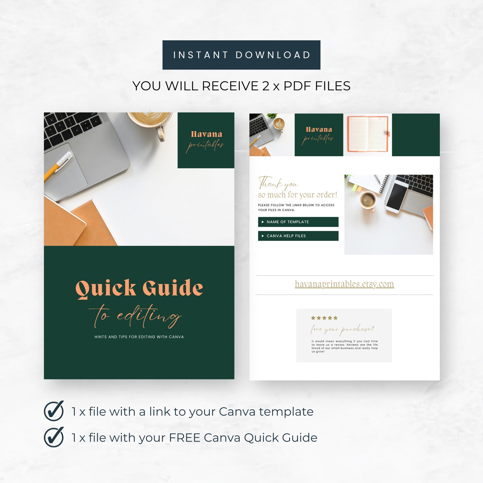 Editable Raffle Ticket Template in Multiple Colours, CANVA TEMPLATE ...