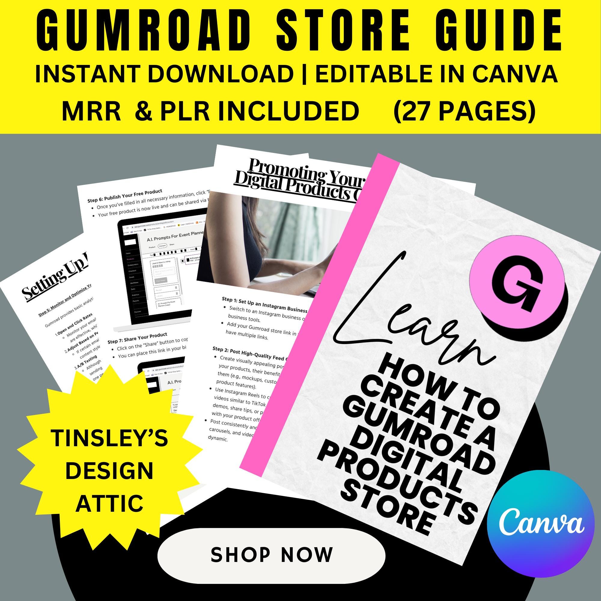Gumroad Store Guide | MRR & PLR | Setup Gumroad Store Account ...