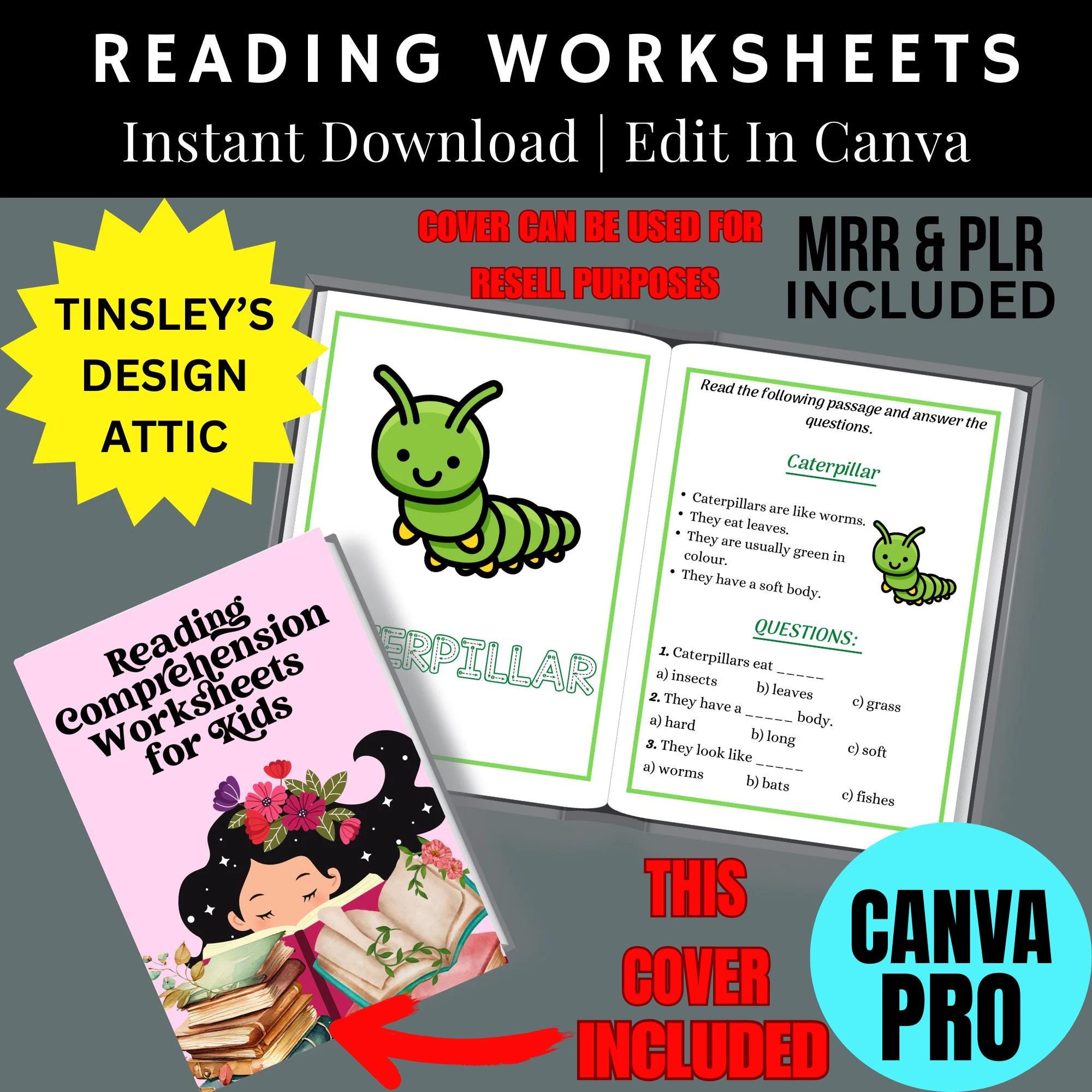 Reading Comprehension Worksheets for Kids | MRR & PLR | Master Resell ...