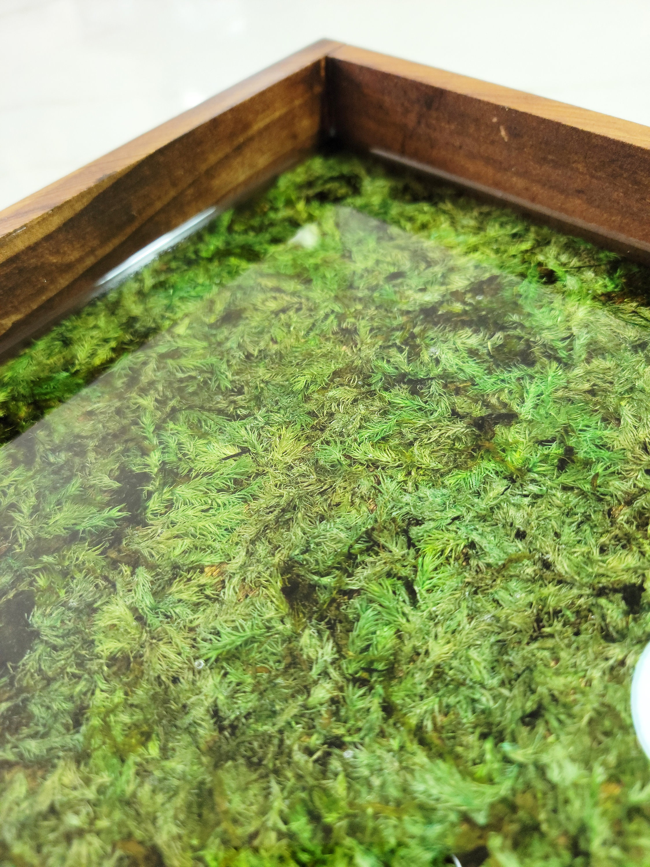 Made to Order Preserved Moss Resin Tray, Housewarming Gift, Resin Art ...