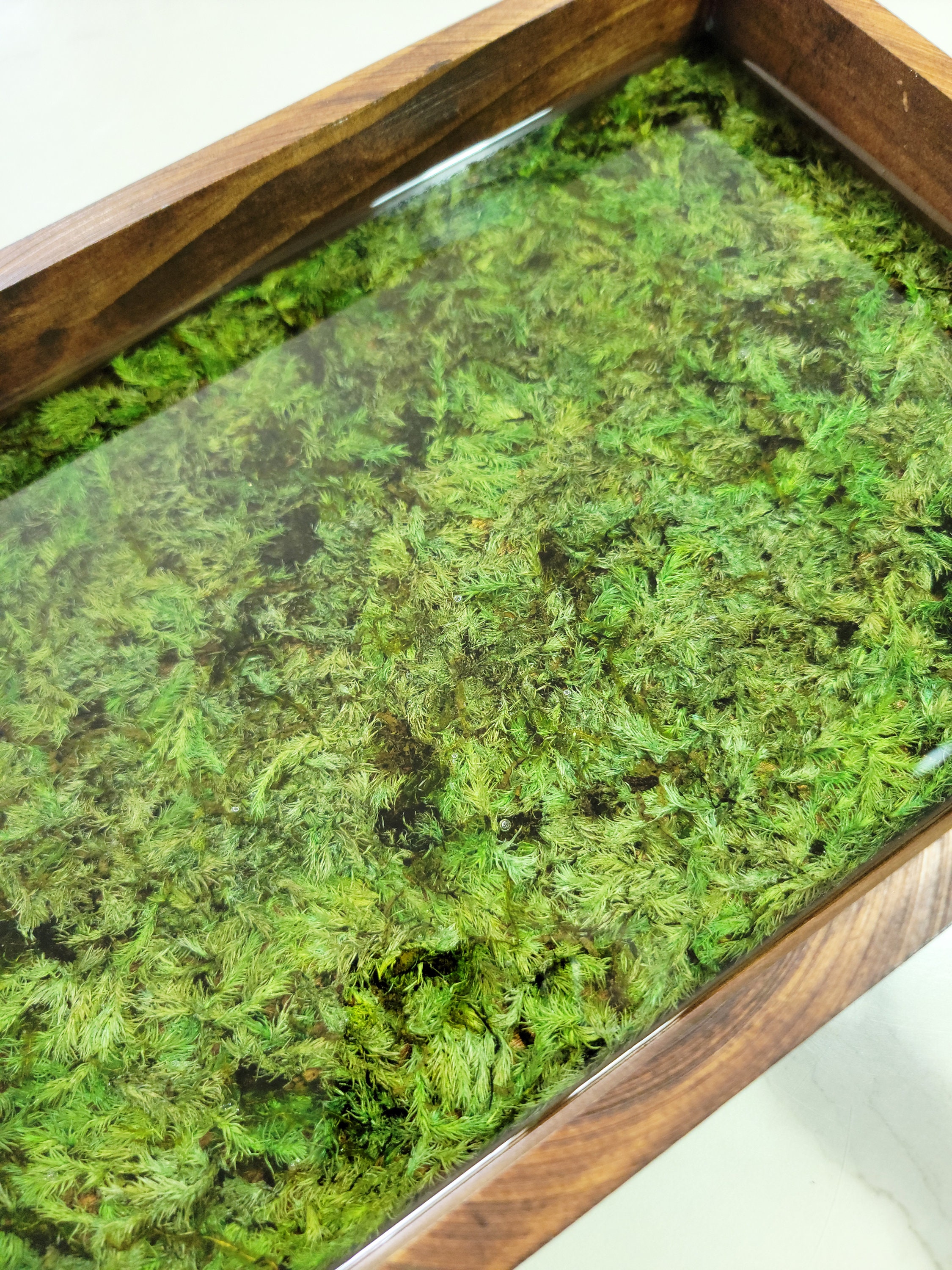 Made to Order Preserved Moss Resin Tray, Housewarming Gift, Resin Art ...