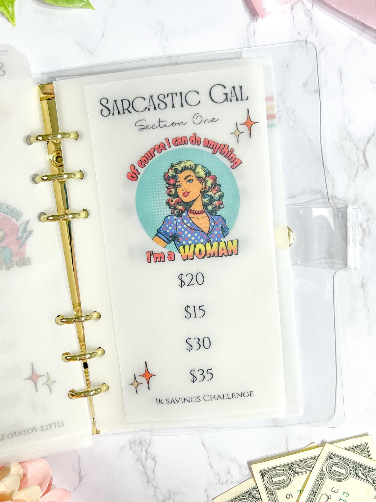 Sarcastic Gal Savings Challenge L Matte Vellum Envelopes L Frosted ...