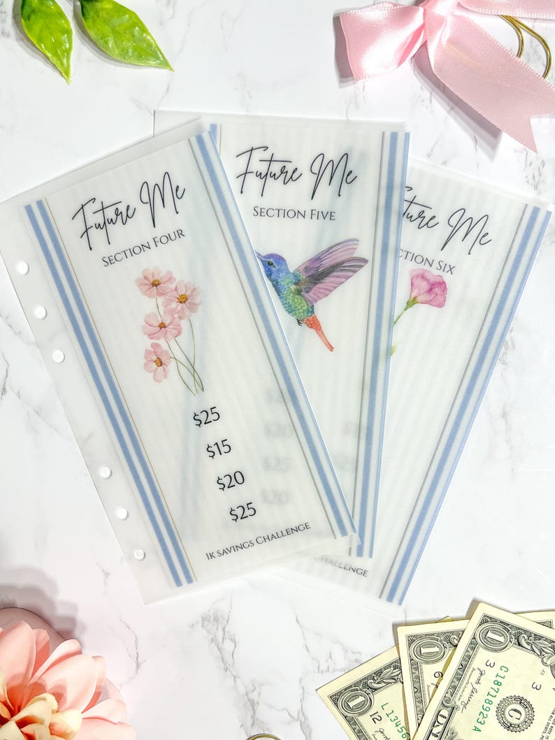 Future Me Savings Challenge L Matte Vellum Envelopes L Frosted Elegant ...