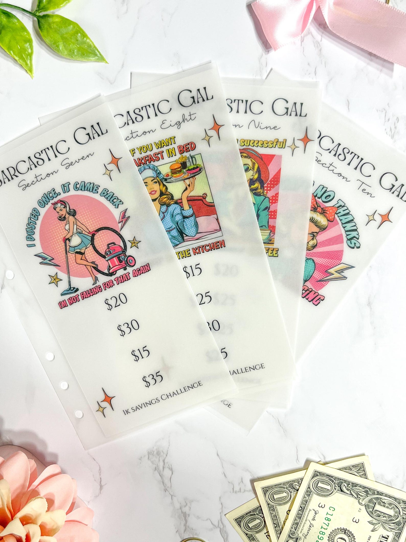 Sarcastic Gal Savings Challenge L Matte Vellum Envelopes L Frosted ...