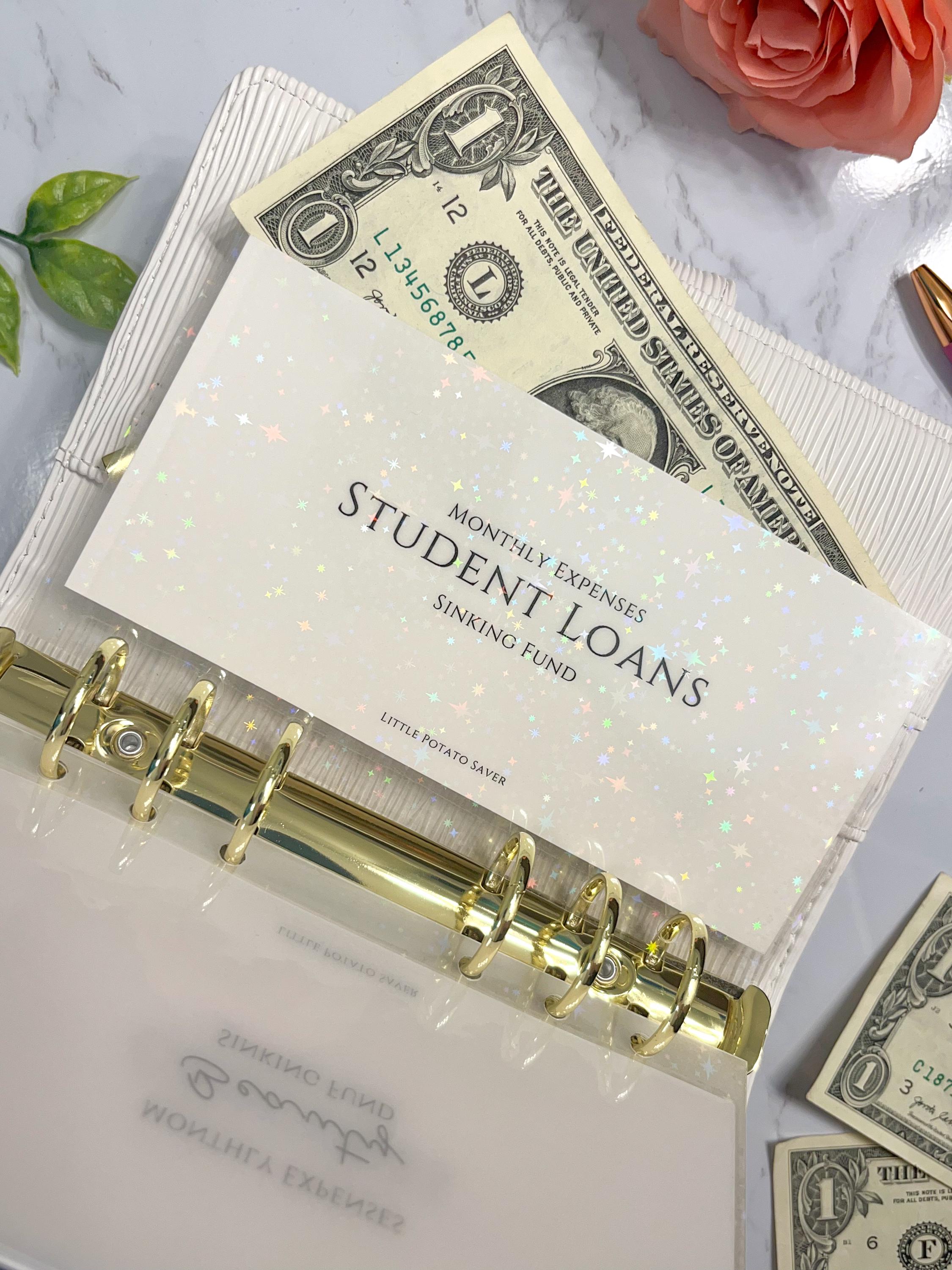MONTHLY Sinking Fund Cash Envelopes | Minimalistic Collection | A6 ...