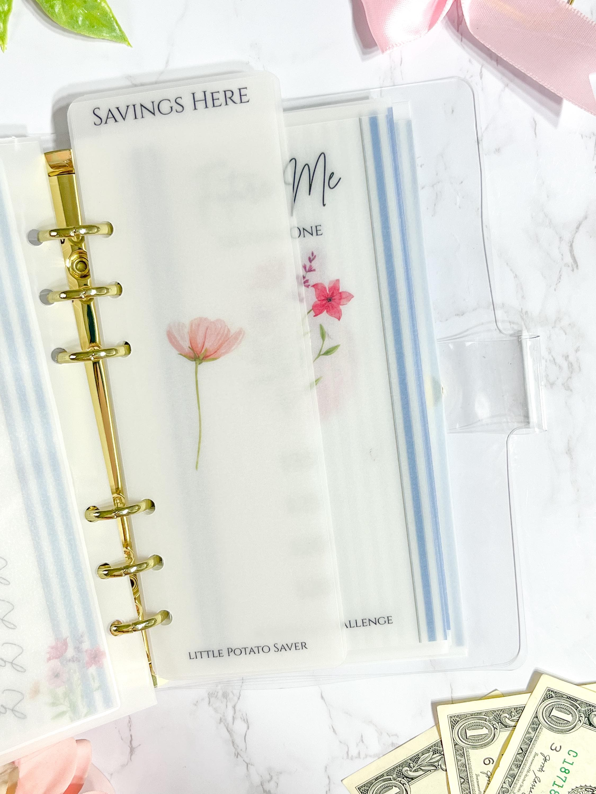 Future Me Savings Challenge L Matte Vellum Envelopes L Frosted Elegant ...