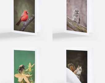 Wildlife Thank You Cards - Etsy