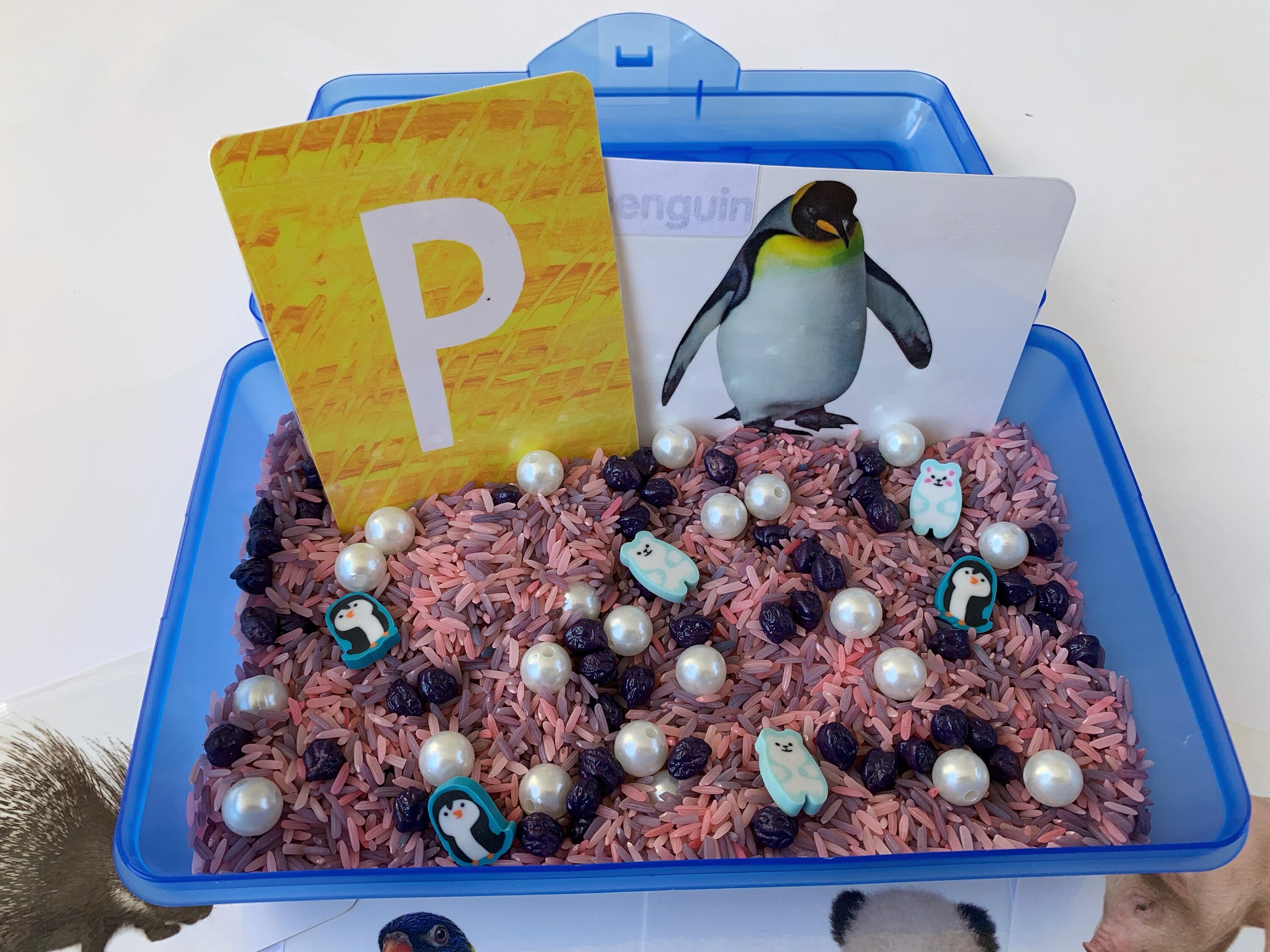 Letter P Mini Sensory Bin - Etsy