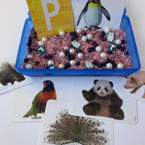 Letter P Mini Sensory Bin - Etsy