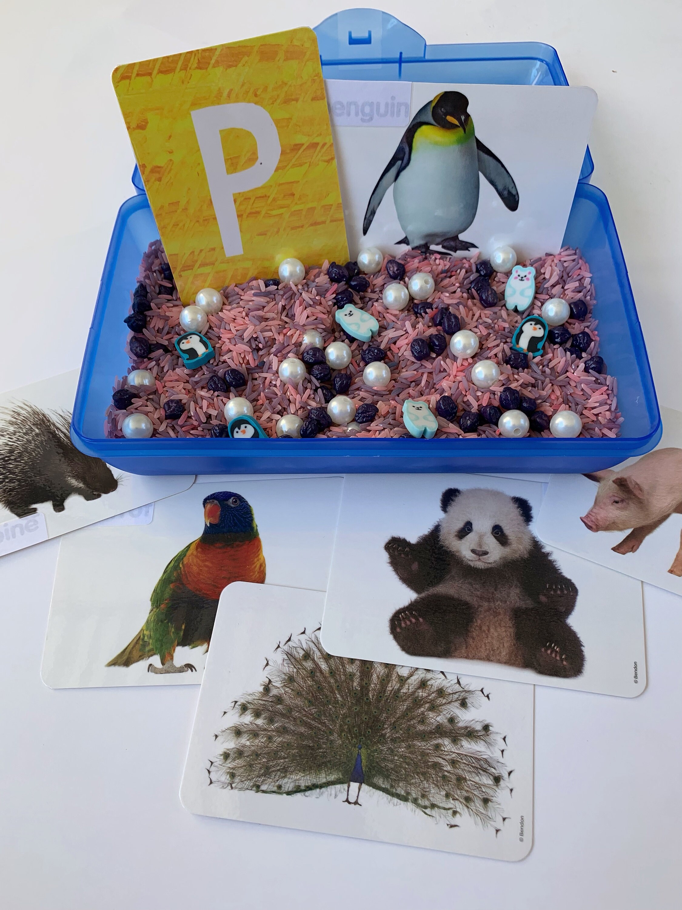 Letter P Mini Sensory Bin - Etsy