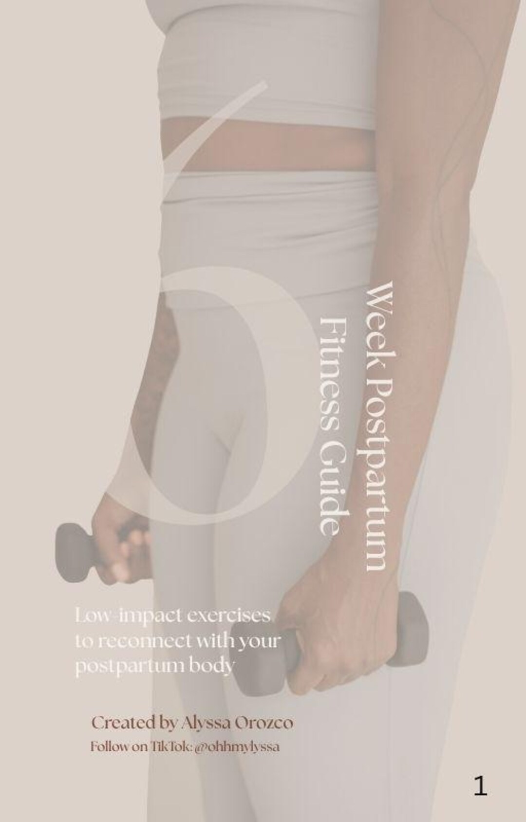 6 Week Postpartum Fitness Guide - Etsy