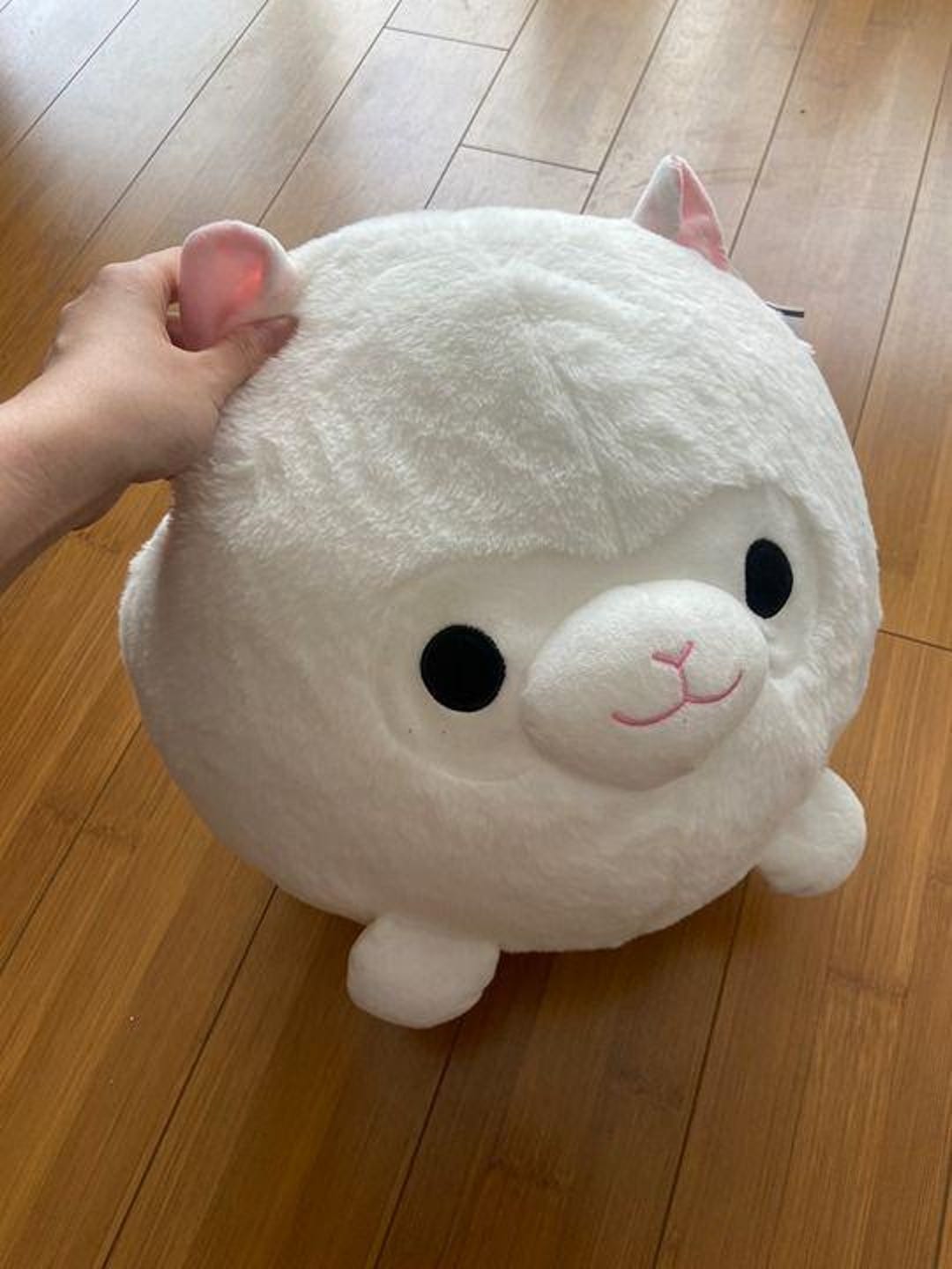 Takashoji Large Mochi Soft Sheep Alpaca Round 1 Plush 12 X 12 NWT - Etsy