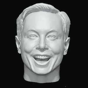 Elon Musk Laughing Meme Head Portrait 3D Printed Figure 2021 Man of the ...