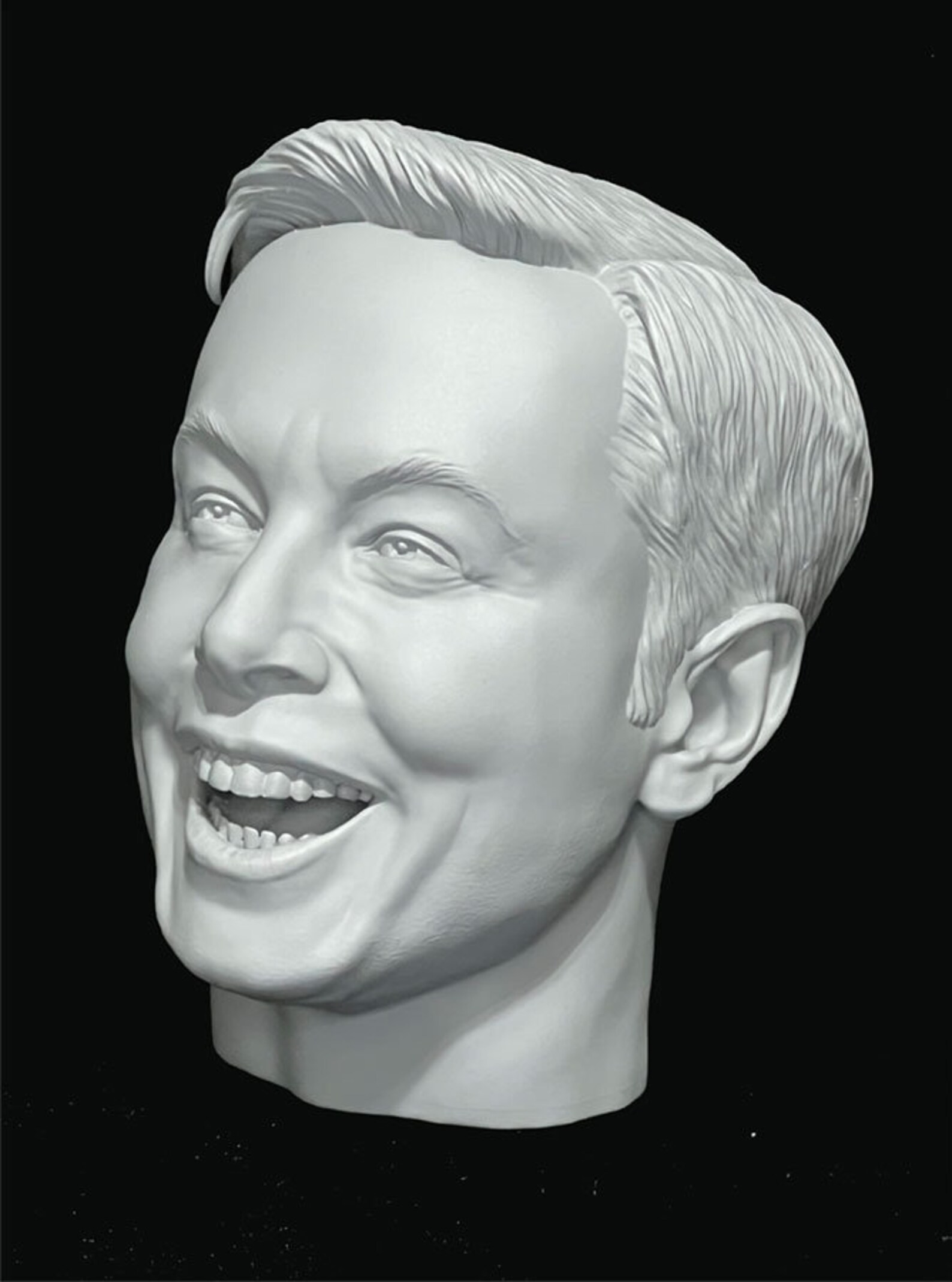 Elon Musk Laughing Meme Head Portrait 3D Printed Figure 2021 Man of the ...