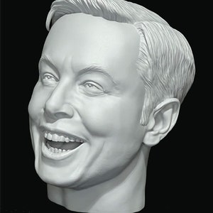 Elon Musk Laughing Meme Head Portrait 3D Printed Figure 2021 Man of the ...