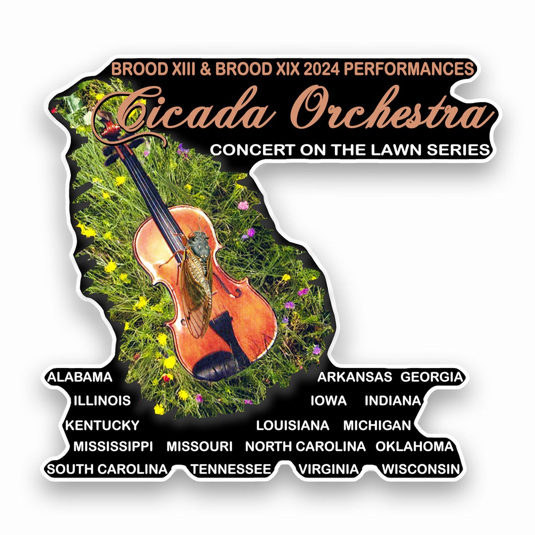 Cicada Orchestra Concert Laminated Sticker | Cicadas 2024 | Brood XIII ...