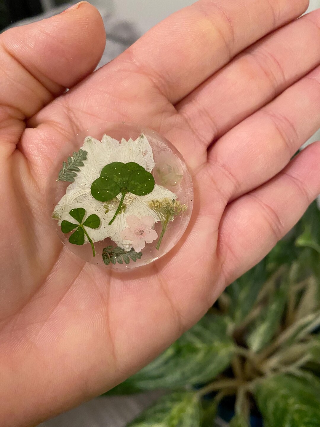 Natural Four Leaf Clover Pocket Coin With a Prehnite Stone and Pressed ...