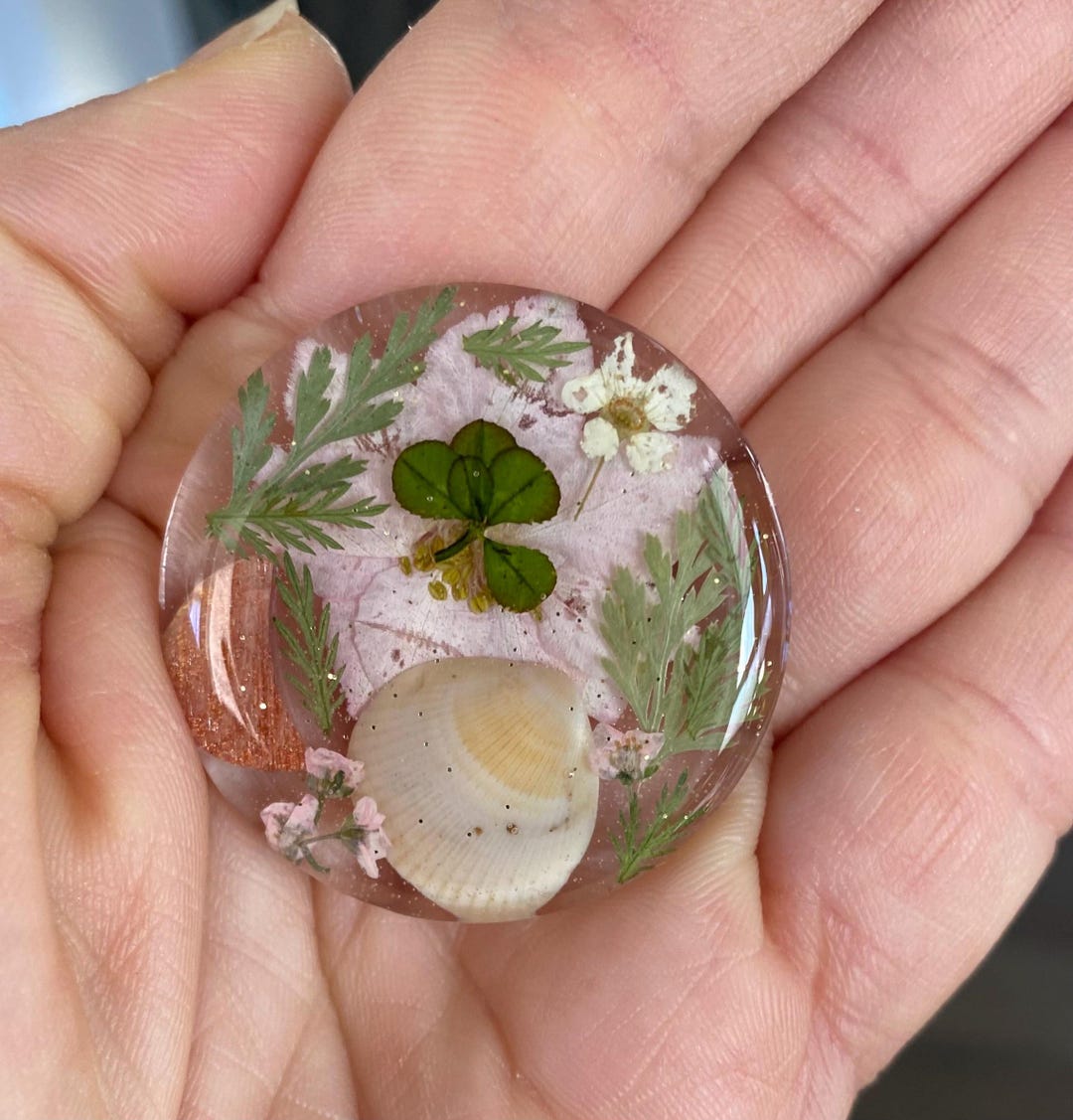 Natural FIVE Leaf Clover Lucky Coin With Pressed Flowers, Clam Shell ...
