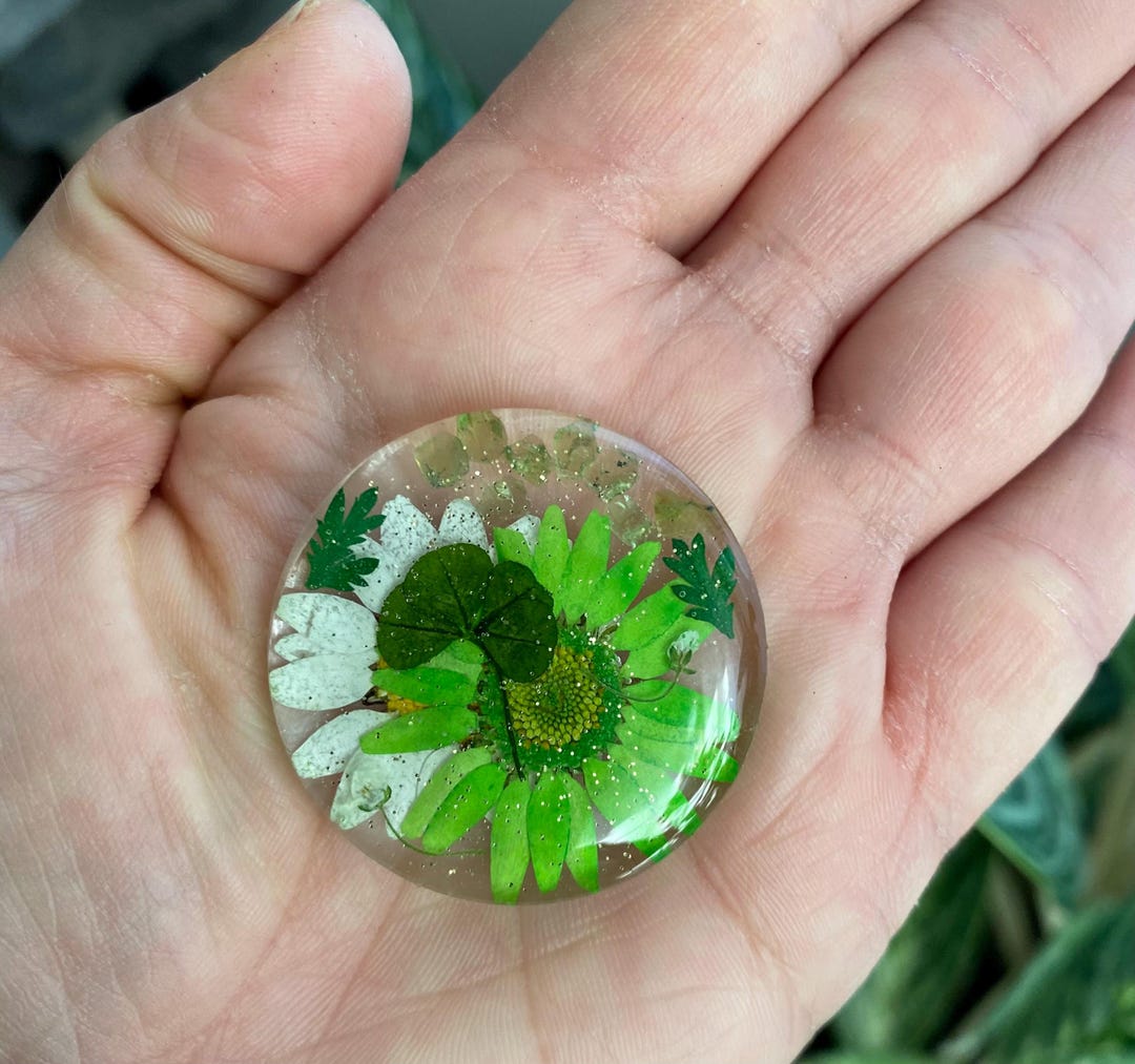Natural Four Leaf Clover Pocket Coin With Pressed Flowers and Peridot ...