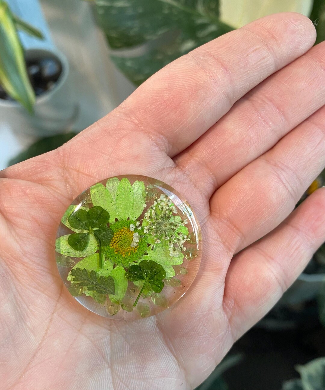 Natural Four Leaf Clover Pocket Coin With Pressed Flowers and Peridot ...