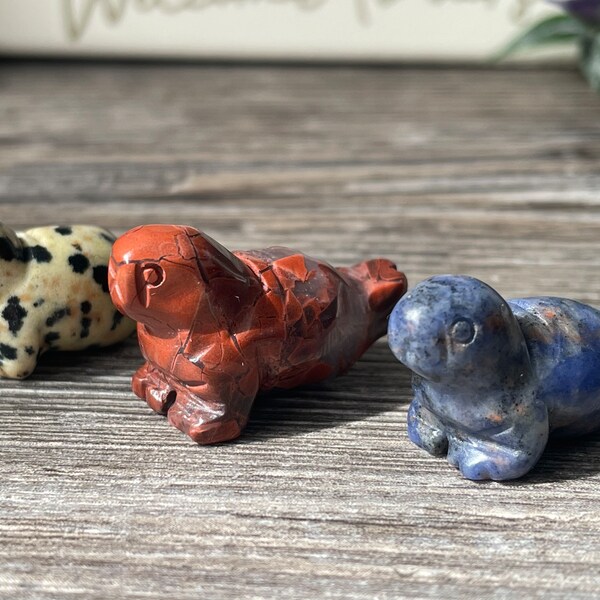 Animal Seal - Etsy