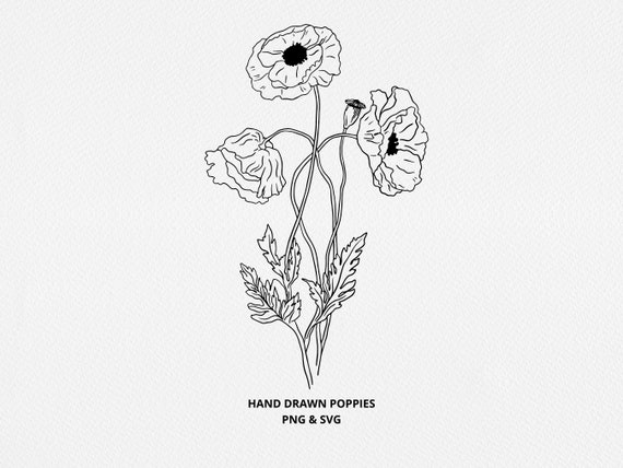 Poppy SVG Poppy Flower Graphic Digi Stamp Hand Drawn - Etsy