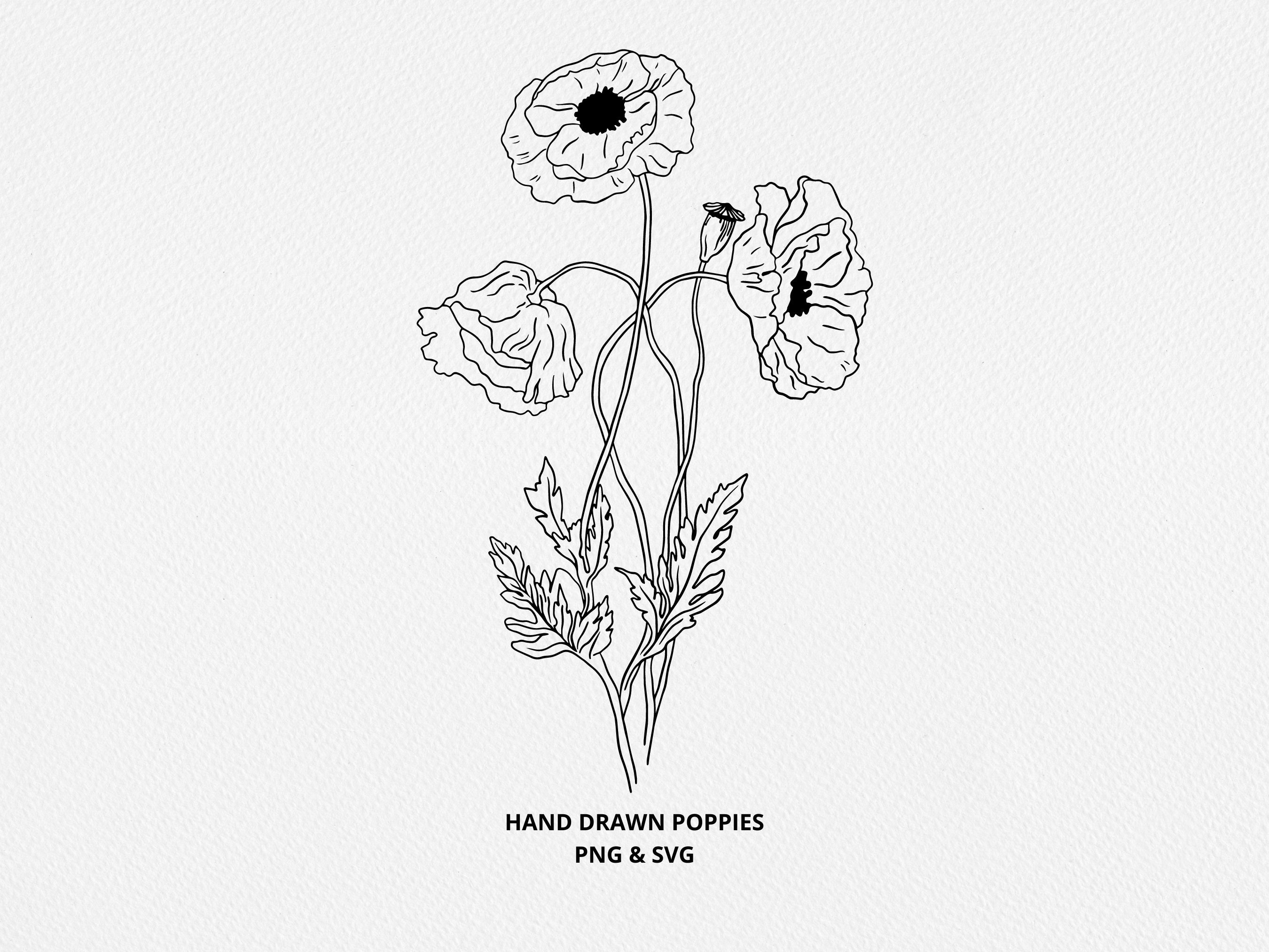 Poppy SVG Poppy Flower Graphic Digi Stamp Hand Drawn - Etsy