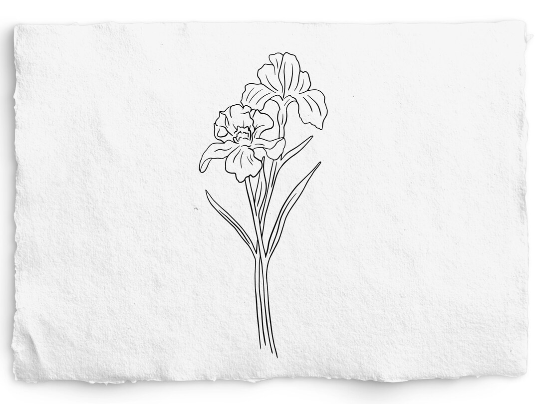 February Birth Month Flower SVG - Birthday Flower PNG, Hand Drawn Iris ...