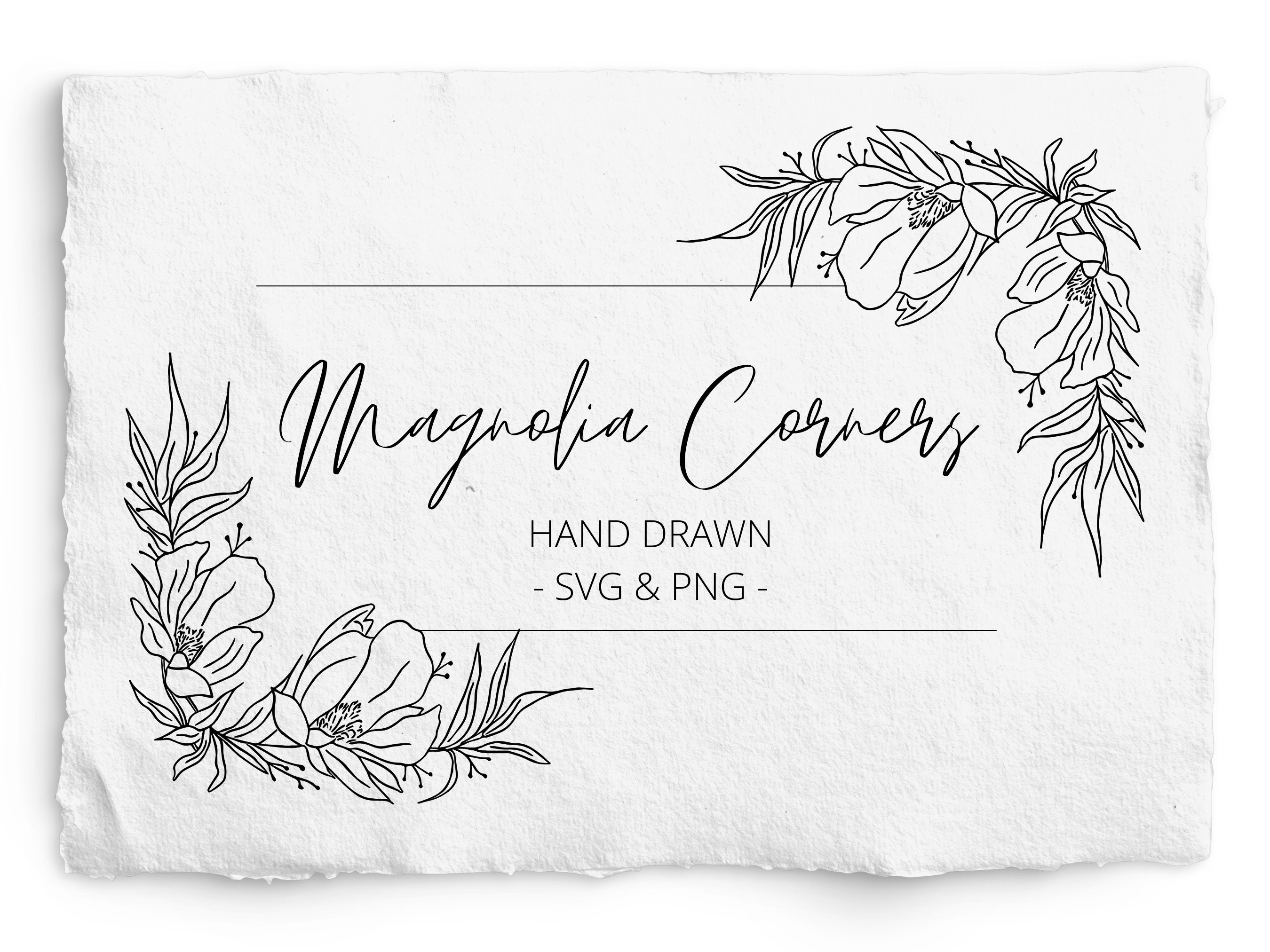 Magnolia SVG and PNG, Magnolia Corner Frame, Floral Frame SVG, Flower ...