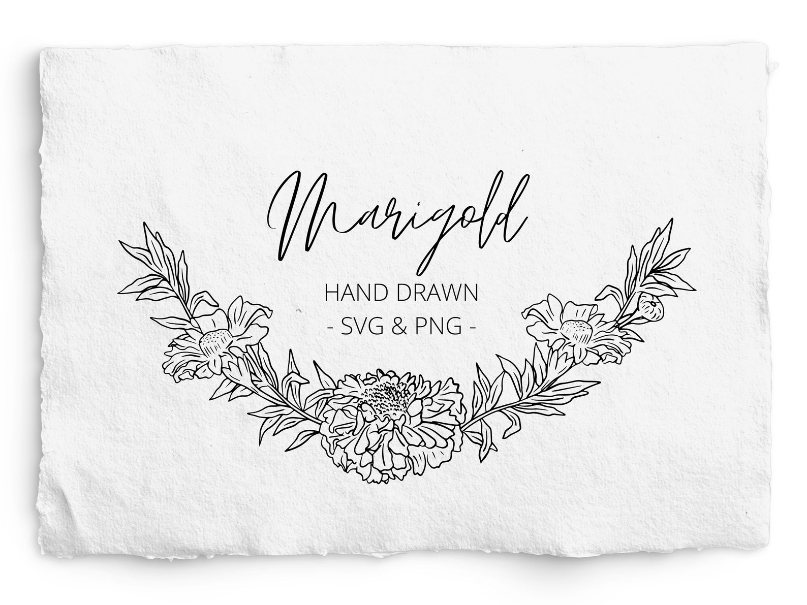 Marigold Monogram SVG Hand Drawn Marigold Frame Botanical - Etsy