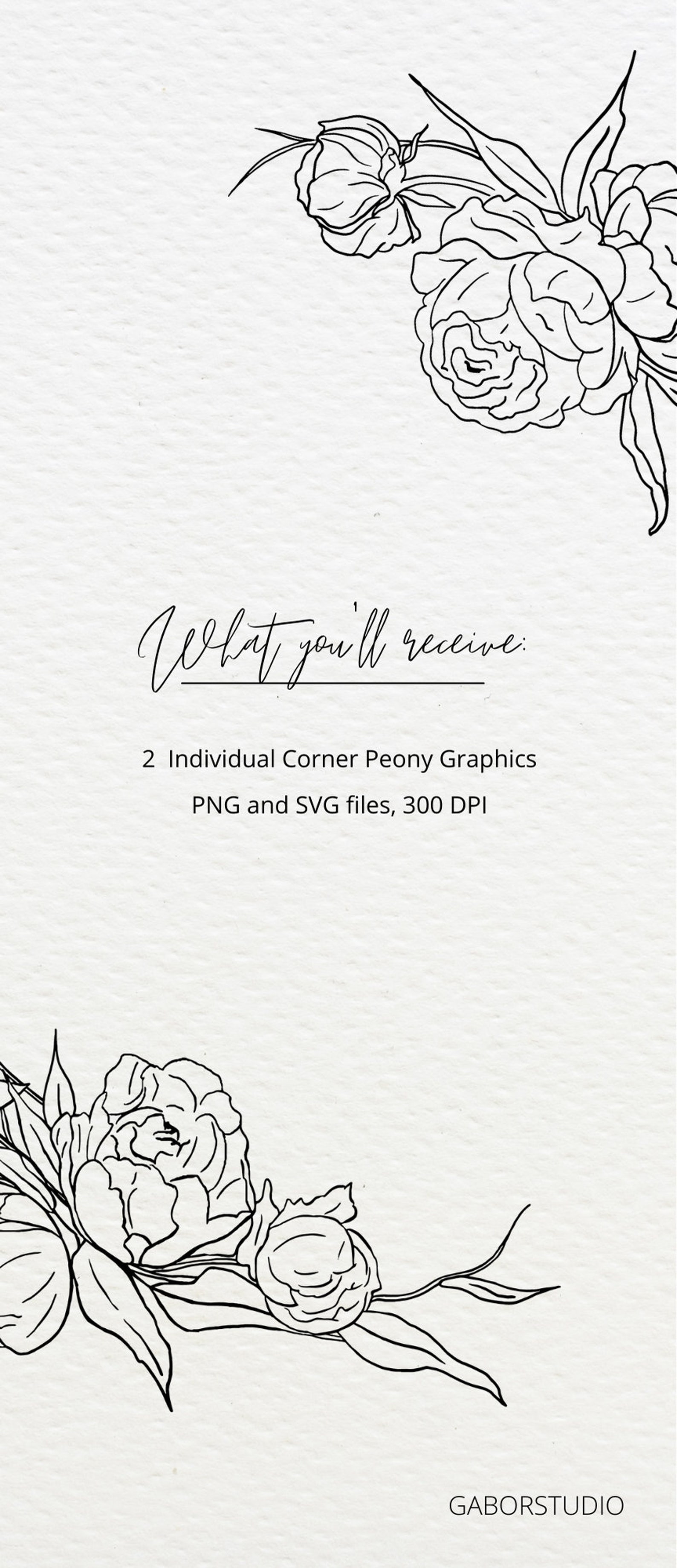 Peony SVG and PNG Peony Corner Frame Floral frame SVG | Etsy