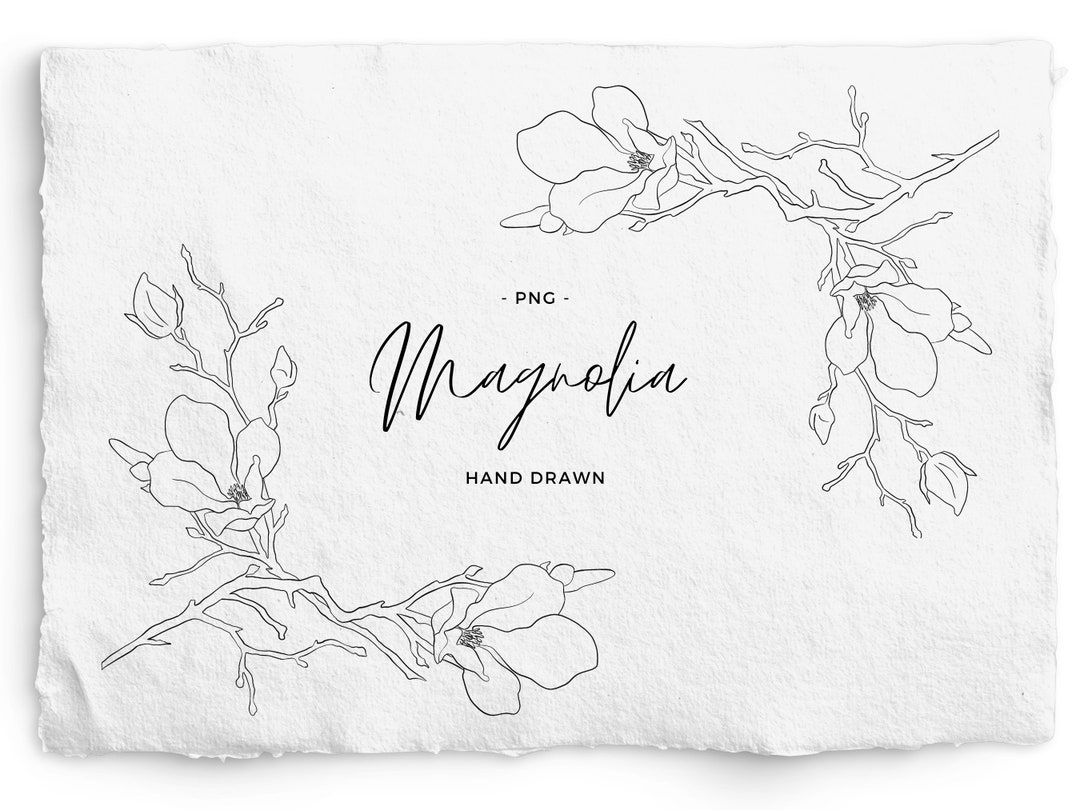 Magnolia Corner, Line Art, PNG, Magnolia Illustration, Floral Wedding ...