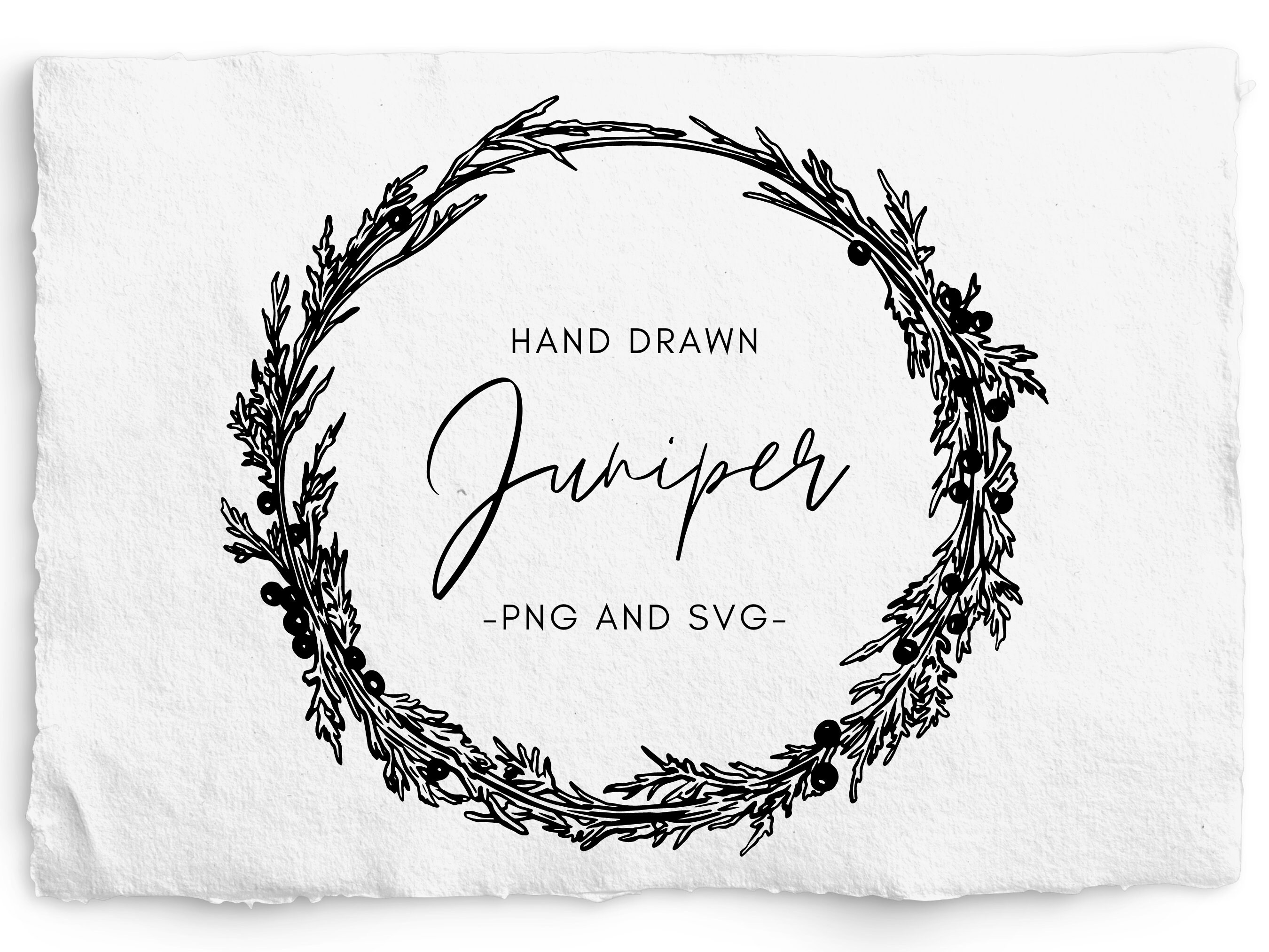 Juniper SVG, Christmas Wreath, Hand Drawn, Engraving, Glowforge ...