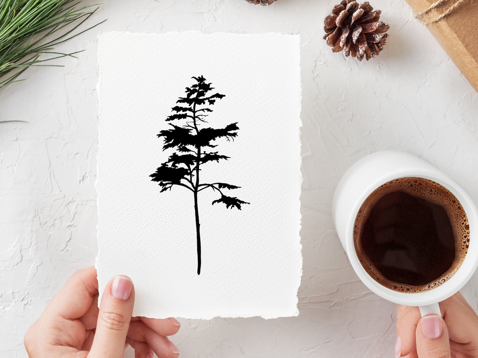 West Coast Tree SVG, Silhouette, Tree Outline, Foil, Digi Stamp, Cricut ...