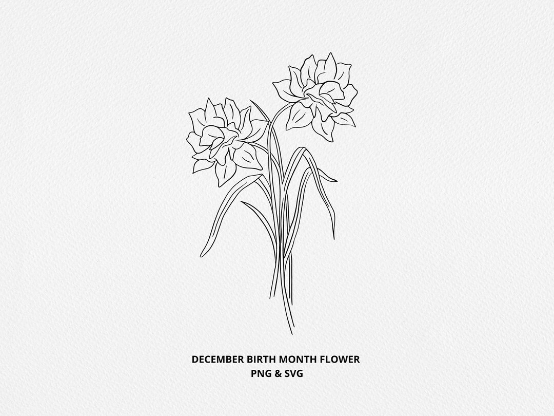 December Birth Month Flower SVG Birthday Flower PNG Hand - Etsy