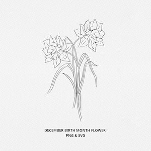 December Birth Month Flower SVG Birthday Flower PNG Hand | Etsy Canada